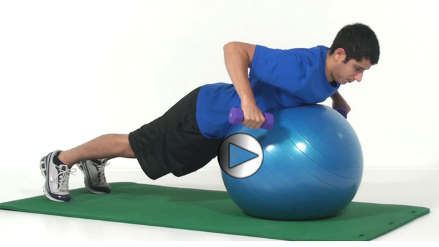 Physical Therapy Software – Exercise Pro Live