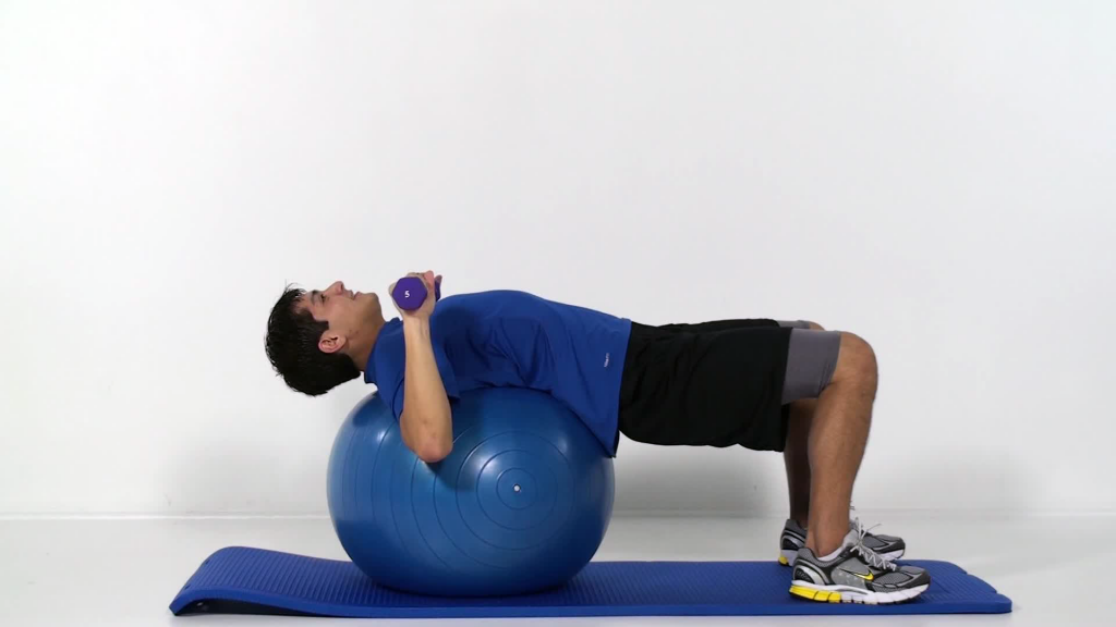 Home Exercise Software – Features | Exercise Pro Live