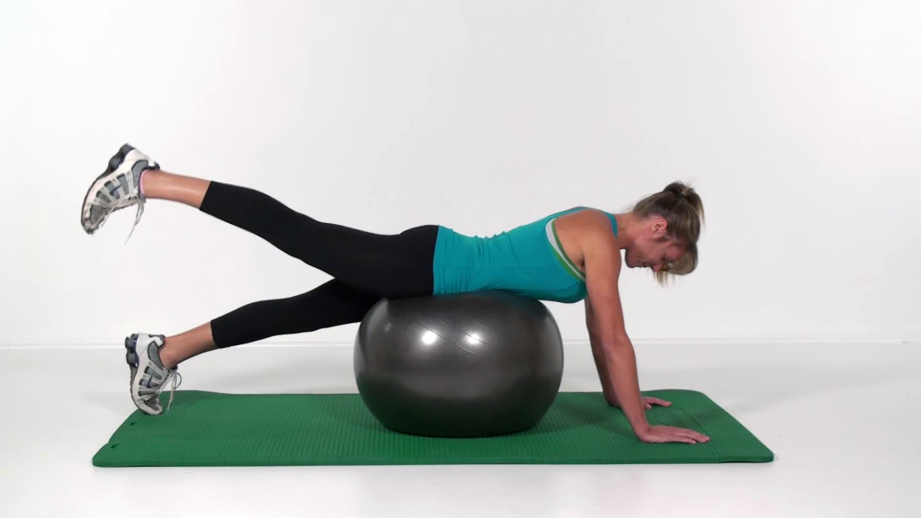 Home Exercise Software – Features | Exercise Pro Live