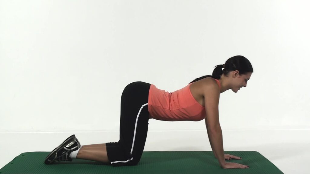 Home Exercise Software for Chiropractors | Exercise Pro Live